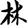 Scratch林老师 