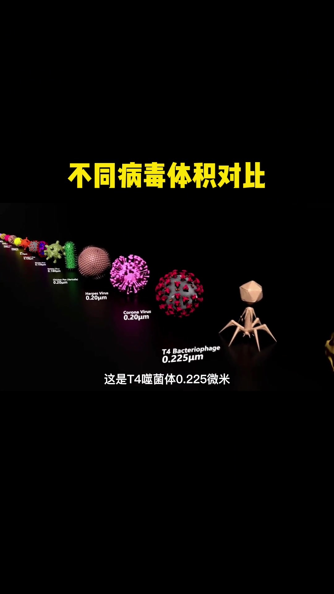 你知道不同病毒体积都有多大吗
