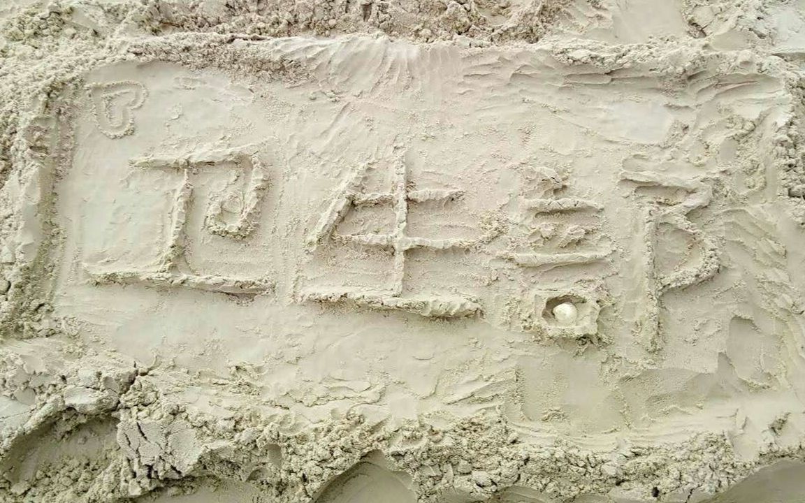 2018广金校会wsb送旧视频