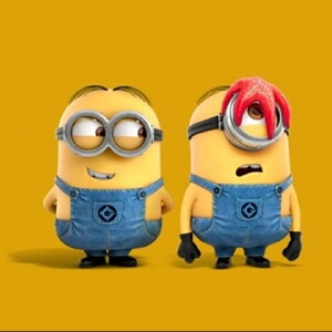 橙橙网课资料社djwk1441 