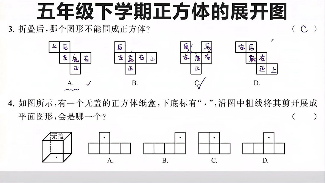 五年级下学期正方体的展开图