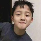 Z y-孤 意 [ 战为固执 ] 