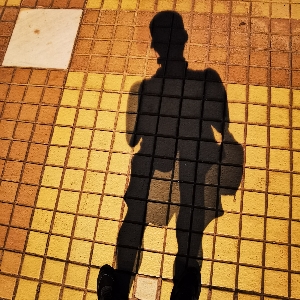 随拍街趣_土拨鼠 