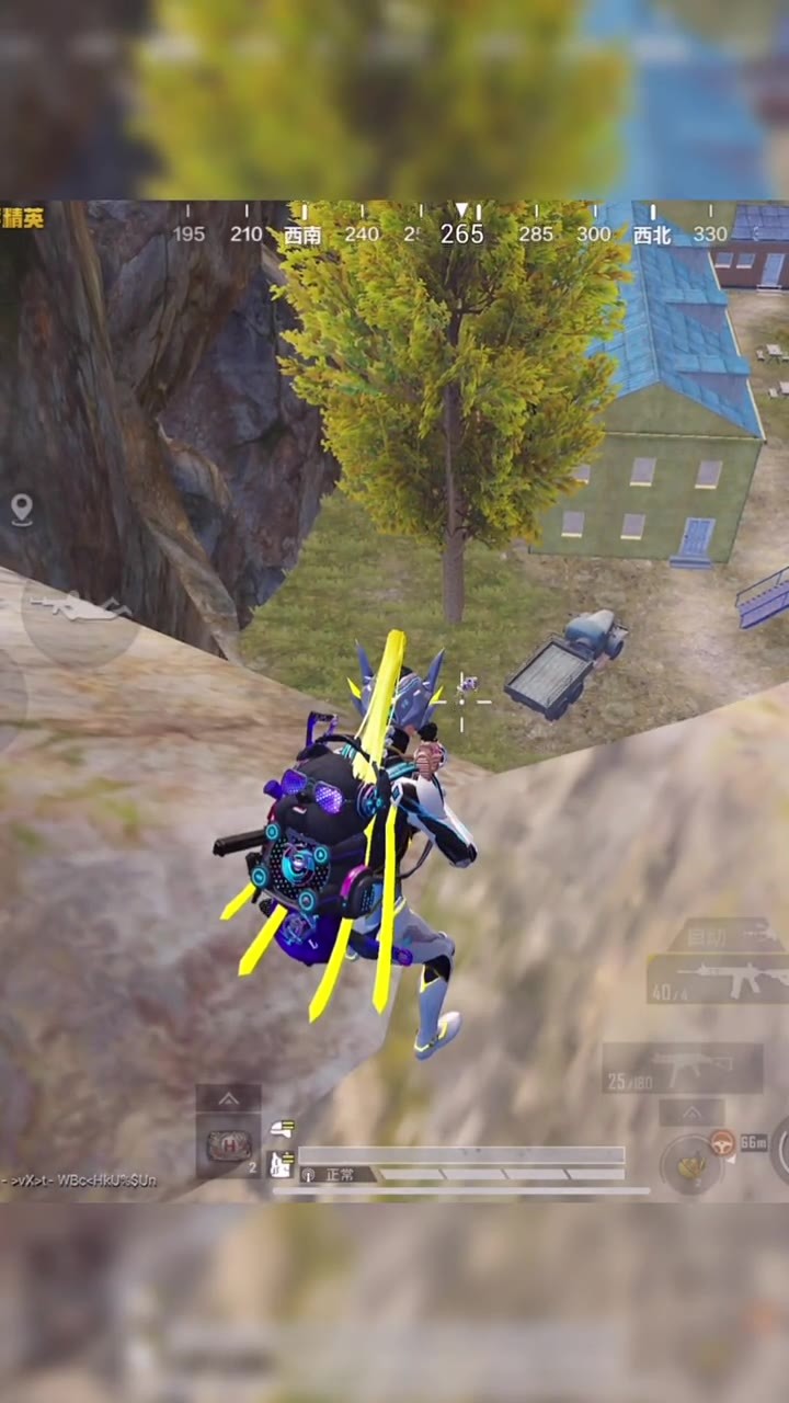 和平精英,这是谁家的憨憨??