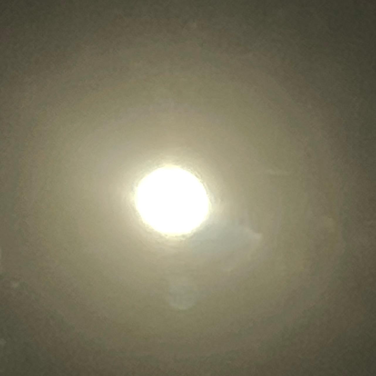 蝶舞66027 