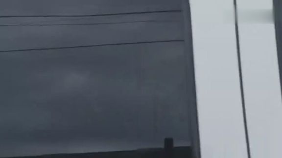 两条恶狗打架,一条差点被咬死