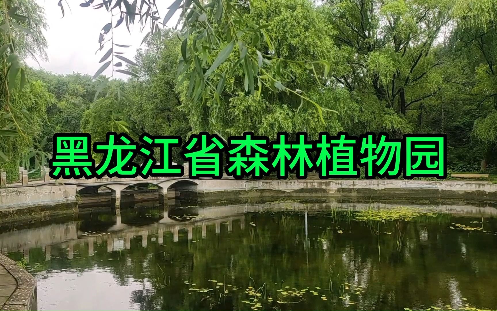 黑龙江省森林植物园