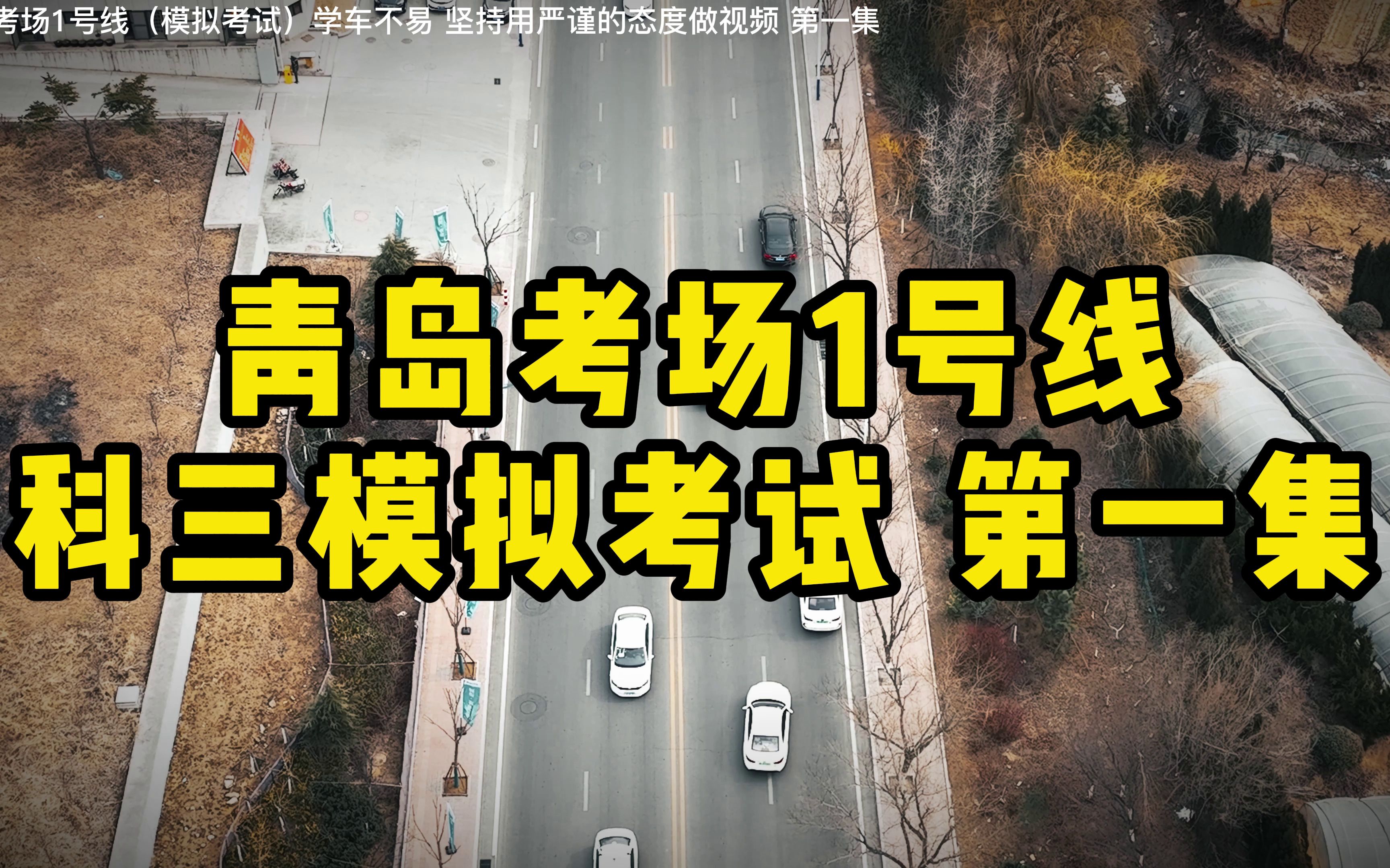科目三(模拟考试)第1集,学车不易,坚持用严谨的态度做视频。