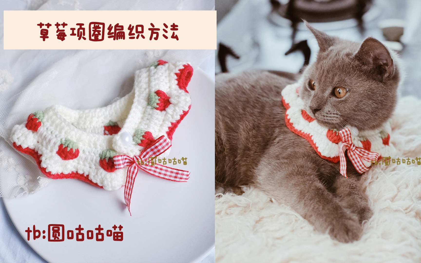 「05」草莓项圈编织教程 diy猫咪狗狗毛线钩针编织新手教程