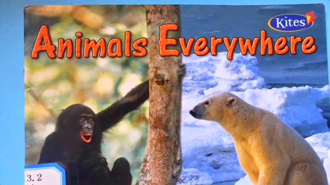 幼儿英语绘本故事精讲《animals everywhere到处有动物 英语故事
