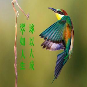 三生年流水溅落花誓言 