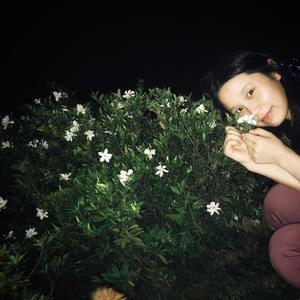 今天看什么1 