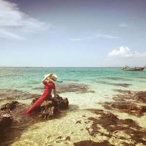 大聪明家的小花卷儿 