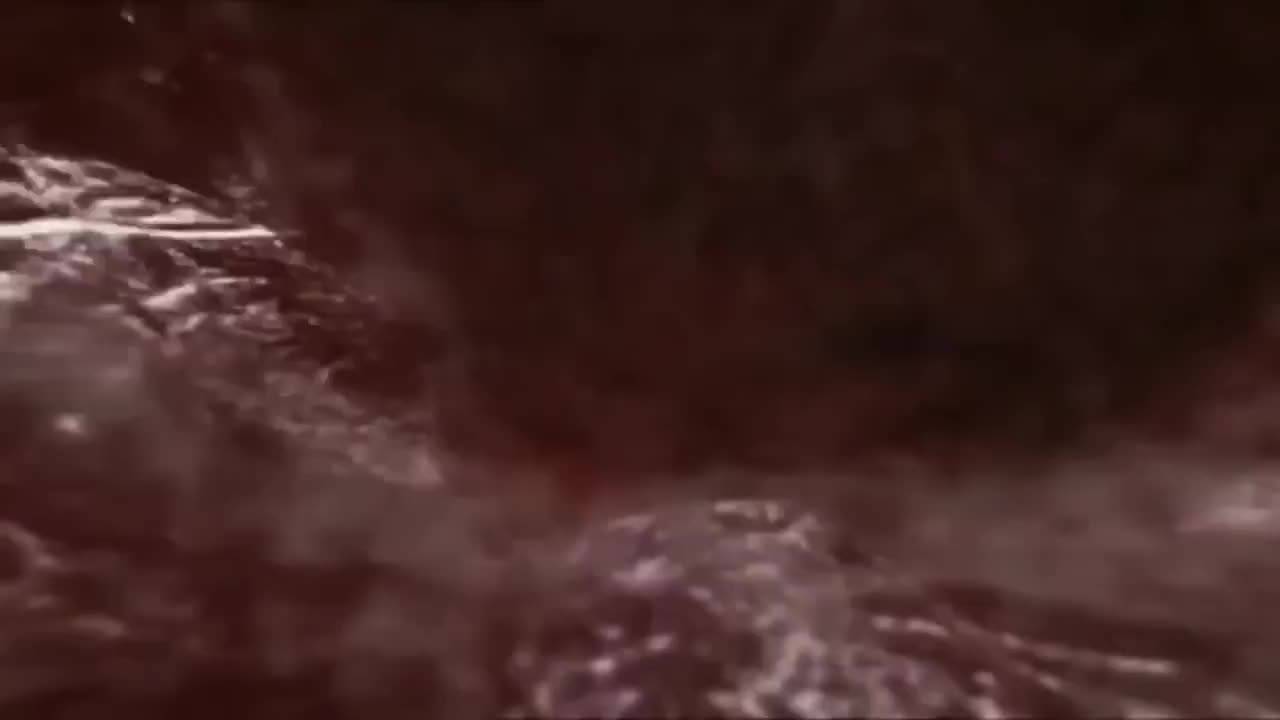 ...以动画形式描述了从蝌蚪到出生需要经历的全过程!认真看完!生命的...