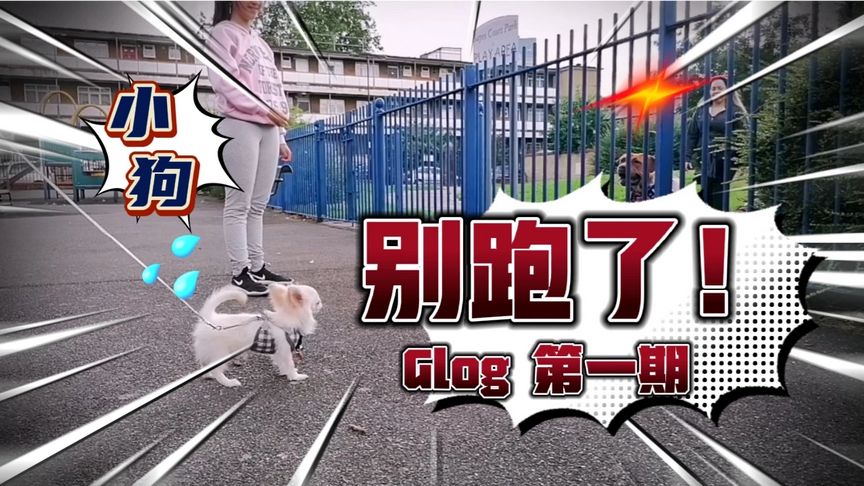 在公园里面, 大狗跟小狗吵架, 搞笑哈哈