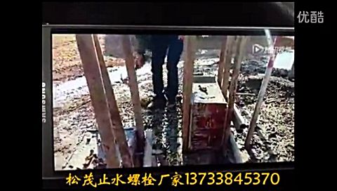 松茂止水螺栓 成都止水拉杆 地下室模板用对拉螺栓