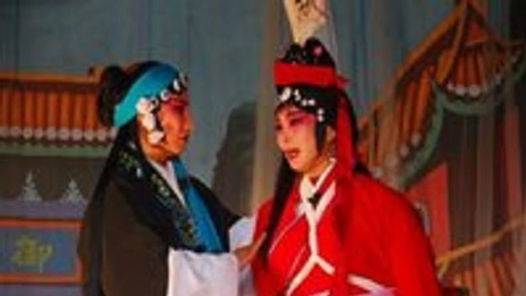 魏硕硕曲剧《李天宝娶亲》老鳖一唱段,这小孩真能!