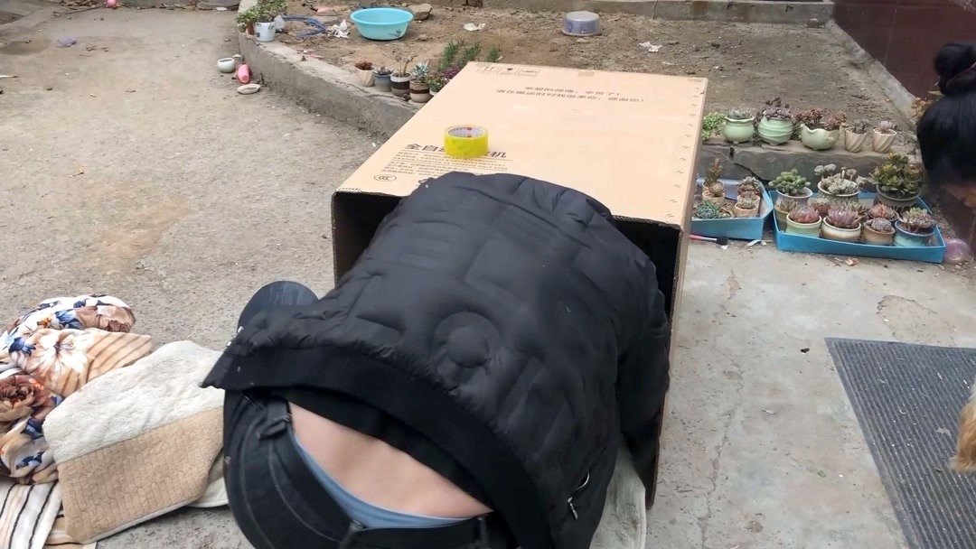 农人张大胖给家里狗狗做个窝,竟亲自钻进去体验,结果差点出不来