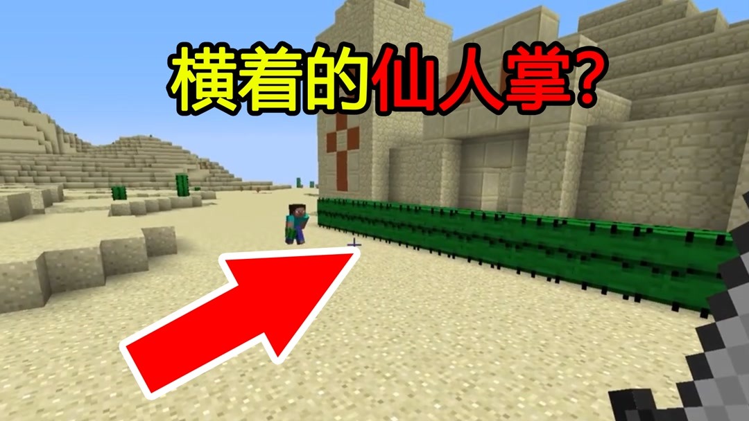 我的世界:MC新手冷知识,这样的MC见过吗?横着的仙人掌?