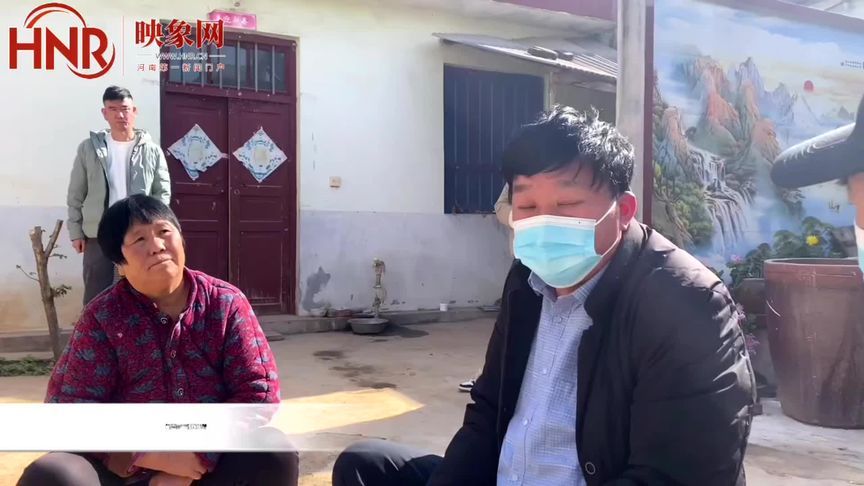 新乡辉县村民自种树木被砍伐 村委"情况说明"遭质疑