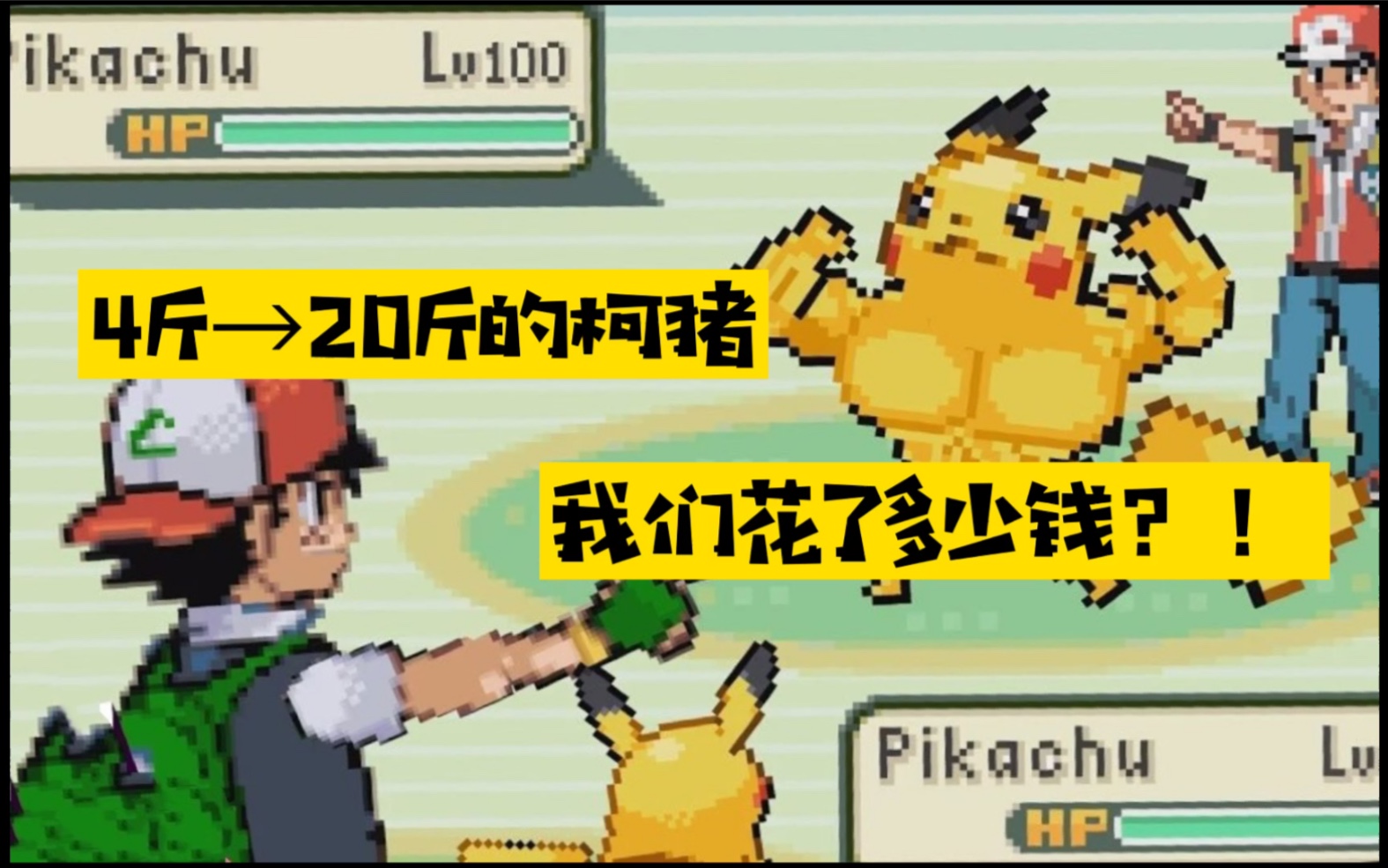 养了三个月的柯基 - 4斤到20斤,我们花了多少钱?!