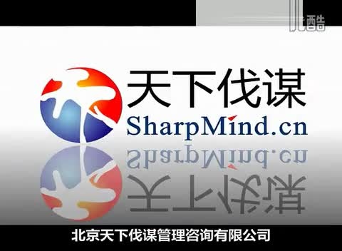 天下伐谋管理咨询有限公司宣传片