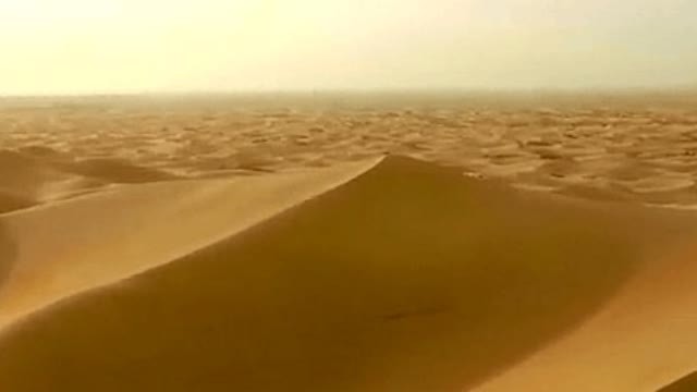 如果地球上所有沙漠变成森林,会有什么后果?看完震惊了