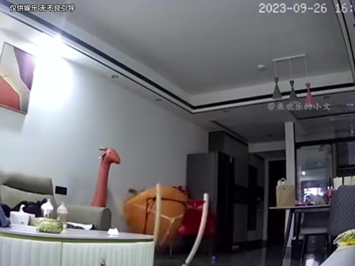 盘点憨憨女生的倒霉瞬间,原谅我不厚道的笑出了声