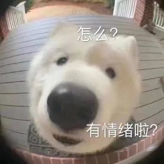 Freya今天学习了吗 