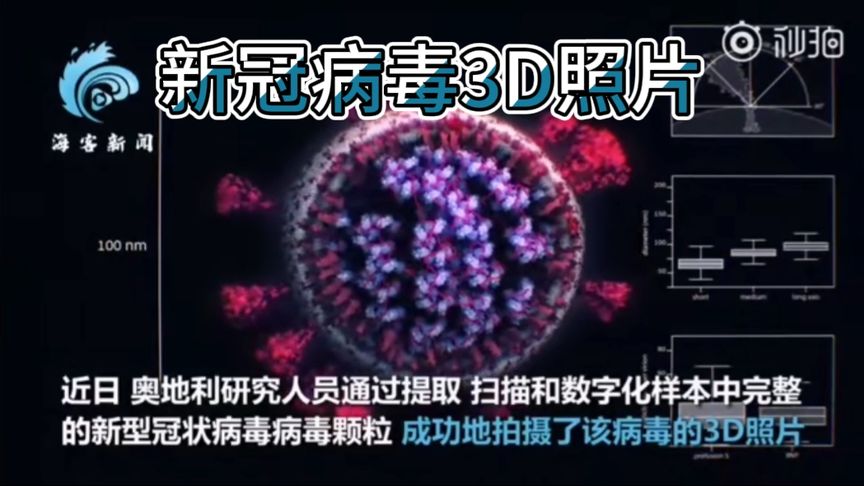 新冠病毒3D照片,希望病毒尽快远离人类