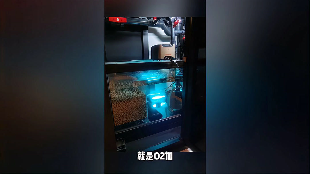 第10话 龙鱼器材篇 不褒不贬 全面分析杀菌灯能不能用?!