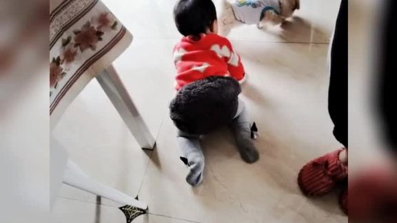 #热门 #别限流 #宝贝成长记 超爱动物的小宝宝