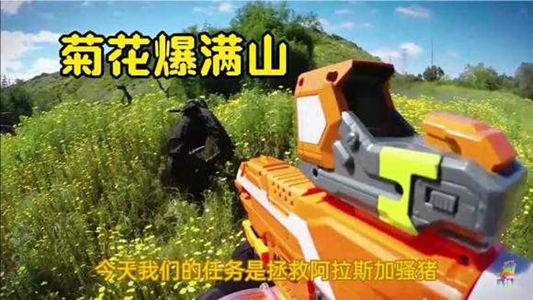 csgo真人游戏:太刺激了,在菊花丛来一场激烈的战斗