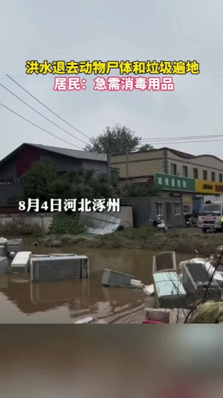 洪水退去动物尸体和垃圾遍地居民:急需消毒用品