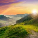 AA拼搏向前，进取人生 