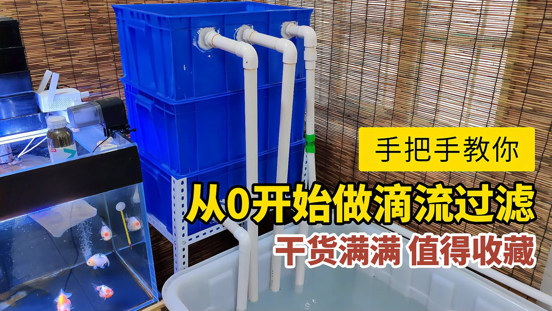 值得收藏!从0开始打造鱼缸强悍滴流过滤系统,手残党也能搞定!