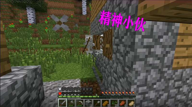 我的世界:生存第二天之精神小伙不请自来,还要搞颜色?