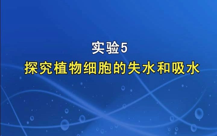 实验:探究植物细胞的失水和吸水