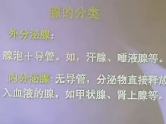 2《上皮组织》教学录像(2学时)