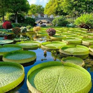 小秋讲那些人那些事 