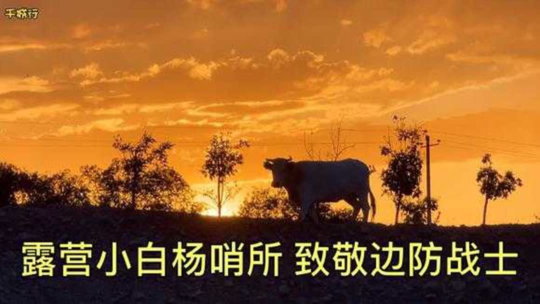 房车露营小白杨哨所,致敬边防战士,小小哨所原来有这么多故事