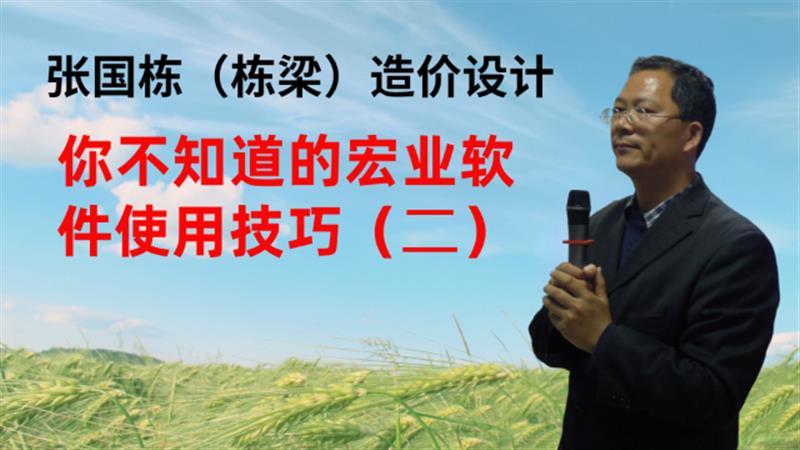 张国栋(栋梁)造价设计:你不知道的宏业软件使用技巧(二)