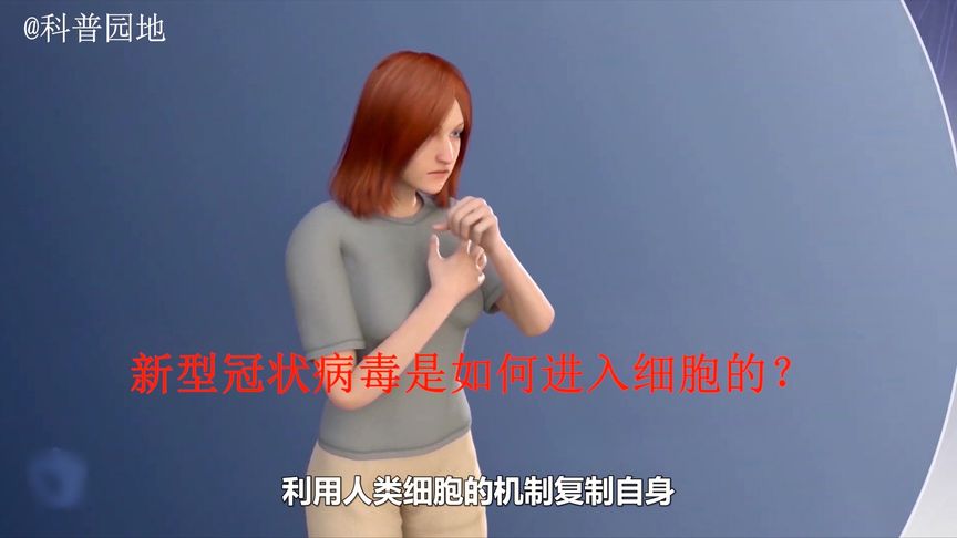 新型冠状病毒是从哪里来的?病毒又是如何进入人体细胞的呢?