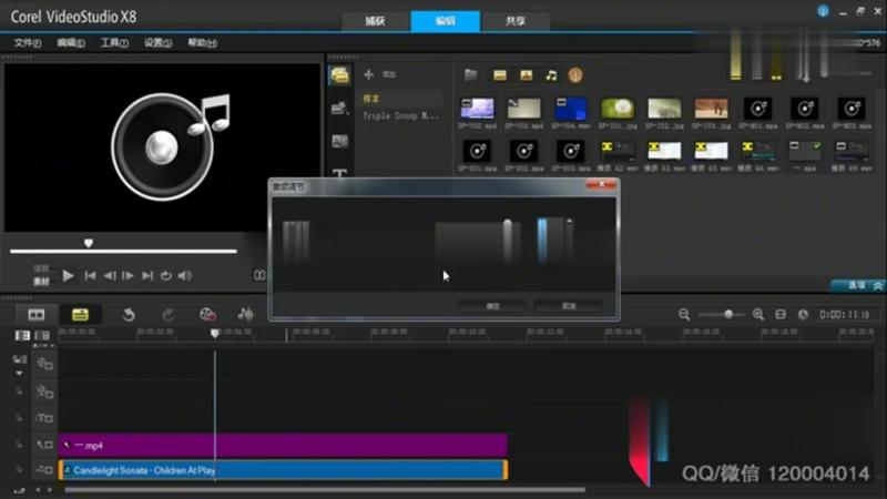 会声会影视频教程:第58讲