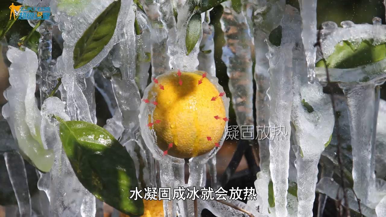 左右为难,我到底是融化还是凝固?