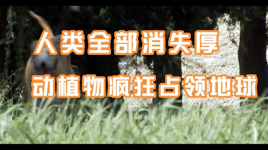 当人类全部消失一周后,动植物会疯狂占领地球,那是个什么场景