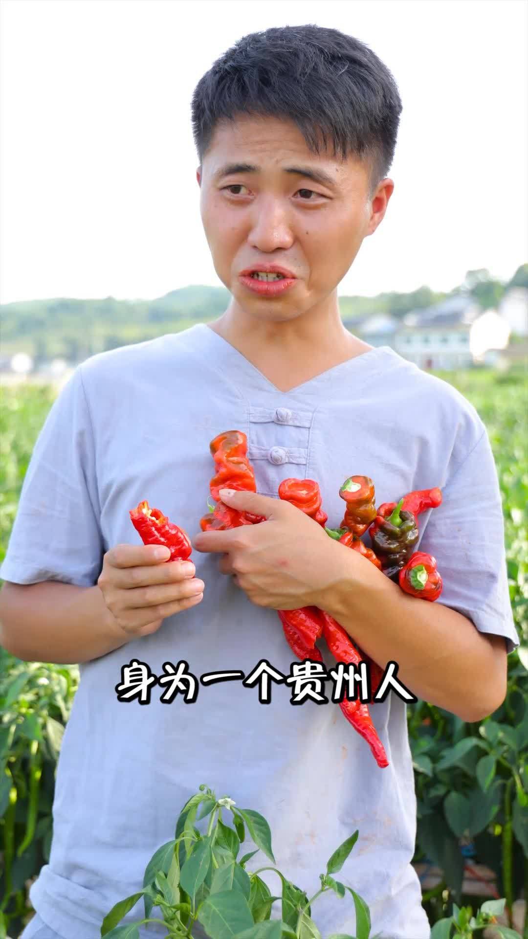 辣椒可是个好东西 我们贵州人离不开它#我的乡村生活 #新农村计划2022