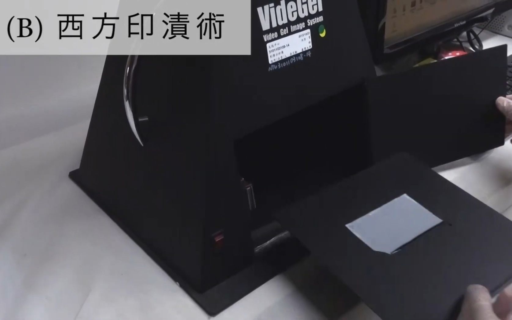单元7.(4-2)蛋白质印迹法(蛋白质印迹转移电泳 Western Blot)-操作示范...