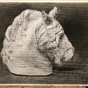 张老师的基础素描分享 