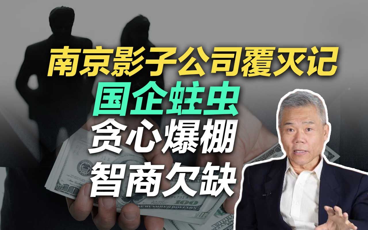 司马南:南京影子公司覆灭记,国企蛀虫贪心爆棚智商欠缺